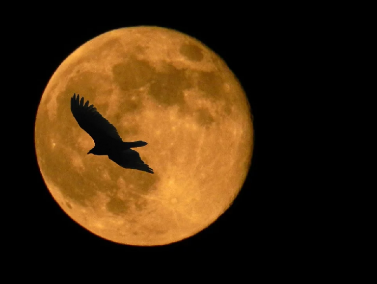 October 2020 a “Blue Moon” month with two full Moons including one on ...