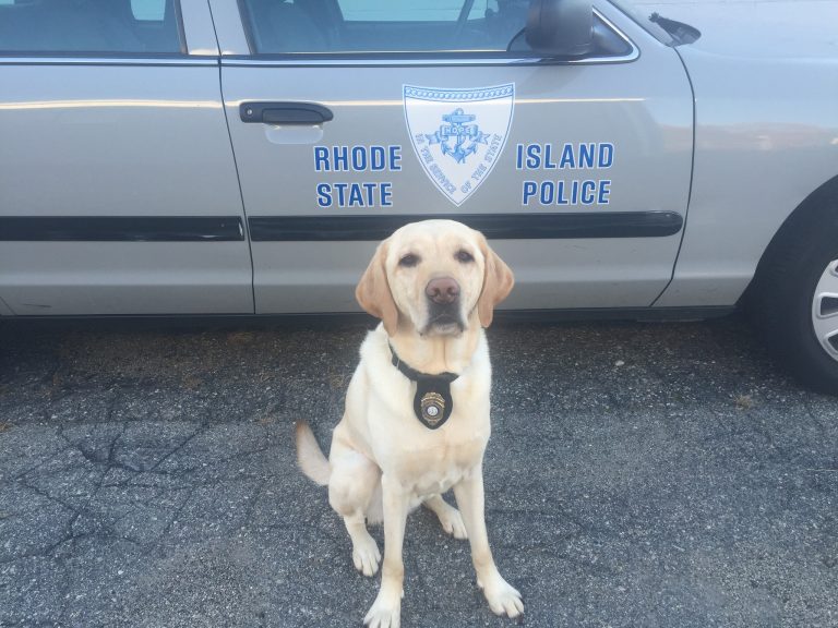 Rhode Island State Police K-9 featured on news outlets across the ...