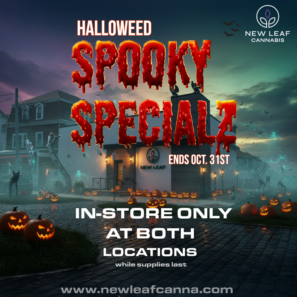 Popular Providence TV weather personality announces that she has been ...