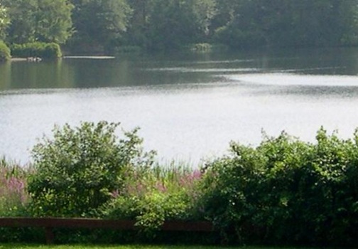 Teenager who went missing while swimming at Massachusetts pond, located ...